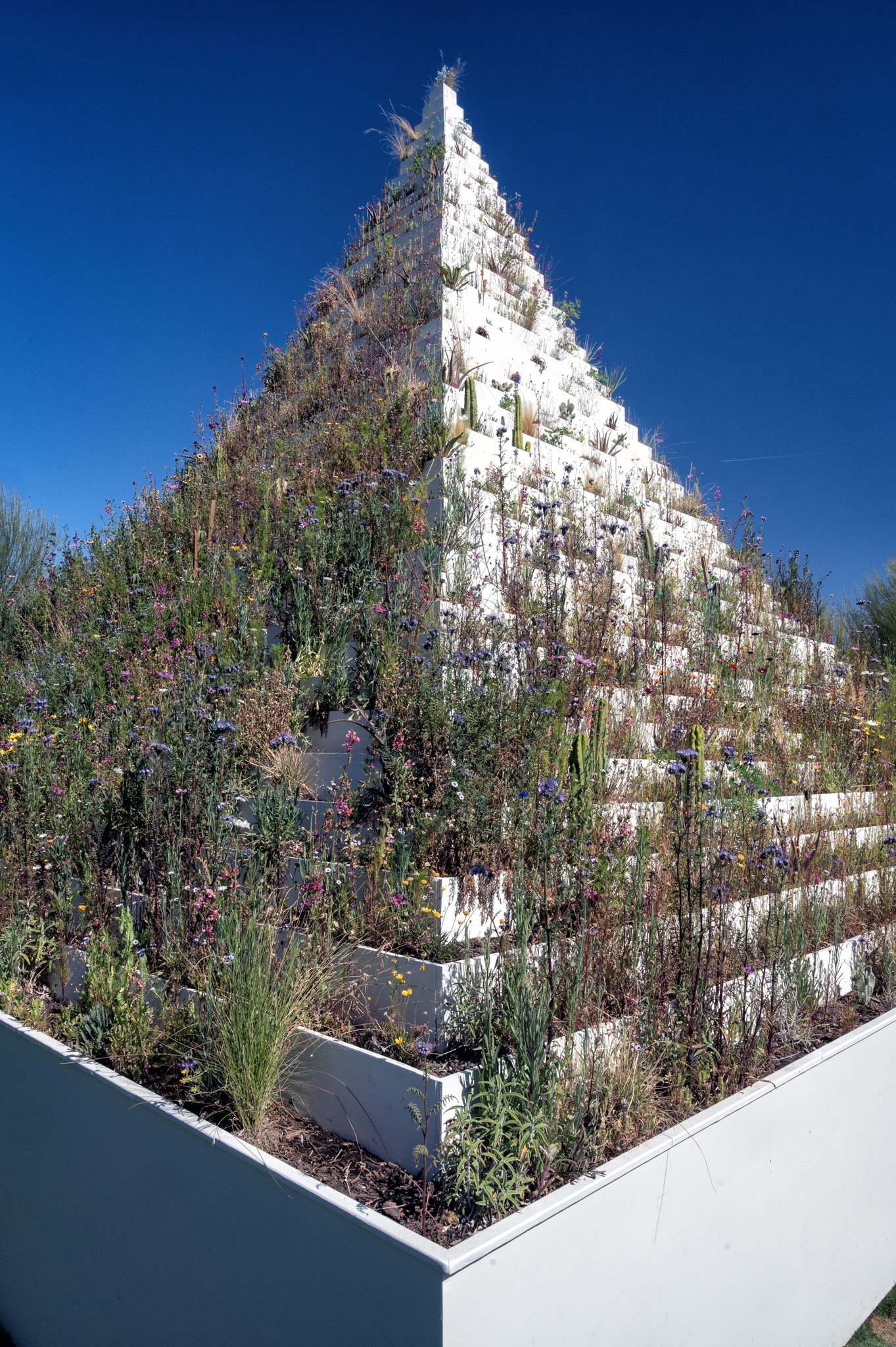 Desert X 2025 – The Living Pyramid – Jeremiah Gilbert Photography